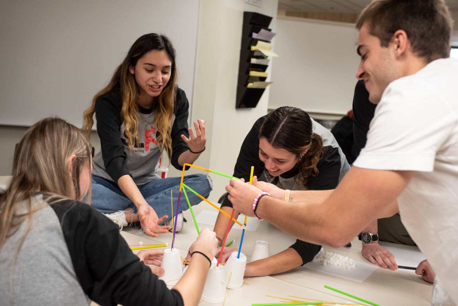 Supplemental Instruction : Student Learning Assistance Center : Texas State University